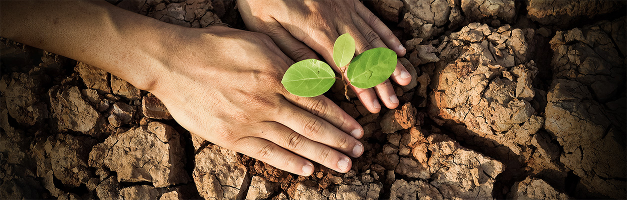 Win-Win: The Key to Sustainable, Successful Sales by Nikolaus Kimla ...