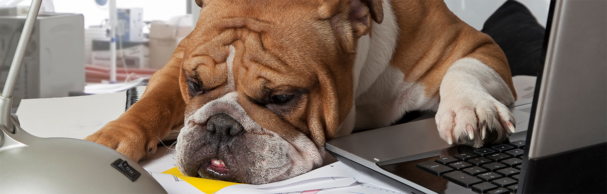 Prevent Falling Down On The Follow-Up by Elinor Stutz - SalesPOP!